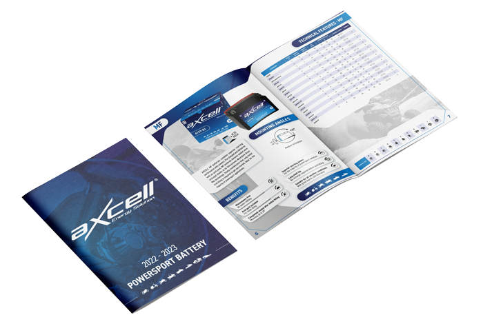 DOWNLOAD - Axcell | Energy Solution
